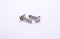 China DIN 787 Square Head T Bolt M8 Stainless Steel 12.9 Grade T-Slot Bolt for Aluminum Profile for sale