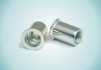 China Cylindrical Stainless Steel Countersunk Rivets M3-M12 Aluminium SS Rivet Nut for sale