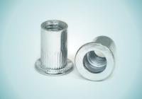 China M3 M4 M5 M6 Flat Head Rivet Nut Blind Countersunk Closed Slot Body Thread Stainless Steel for sale