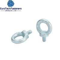 China Stainless Steel Eye Bolt DIN 580 M8 M10 M12 M16 M20 M24 Lifting Eye Bolt 304 for sale