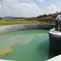 China Multifunctional OEM Water Based Coating For Indoor Swimming Pool And Fish Fry Pond Paint for sale