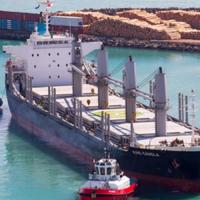 China Oem Ship Tasteless Metal Protective Coating Rust Free Anti Rust Paint Alkali Resistant Salt for sale