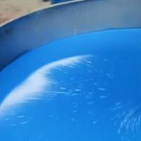 China Balcony Water Based Coating OEM Elastic Waterproof Paint Brush or Spray for sale