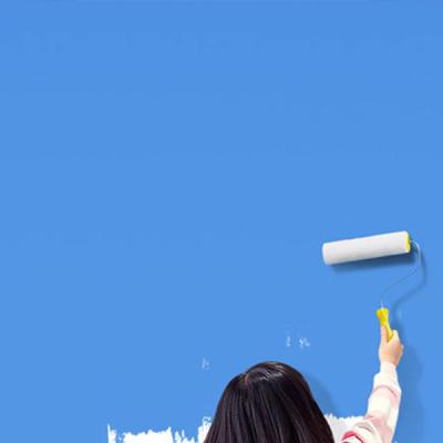 China Elastic Sound-absorbing Paint Transparent Varnish Epoxy Tile Paint DZ110 for sale