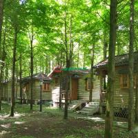 China Anti-Termite Wood Preservative Water-Based Paint Non-Toxic For Wood Structures for sale