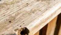 China EcoSafe TermiteProof Wood Paint Water-Based Preservative for Wood Structures for sale