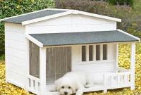 China Water Based Acrylic Paint for Dog Kennels Wood Outdoor Pet House Coating for sale
