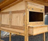China HILHELM Chicken Coop & Quail Hutch Paint | Weather-Resistant, UV-Resistant, Low-VOC, Pet-Friendly for sale
