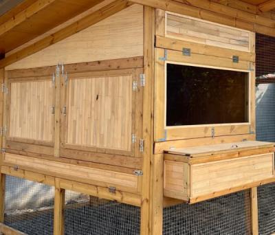 China HILHELM Chicken Coop & Quail Hutch Paint | Weather-Resistant, UV-Resistant, Low-VOC, Pet-Friendly for sale