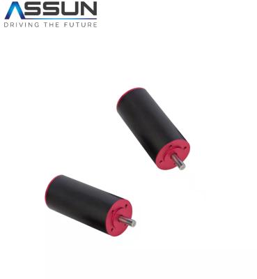 China Intelligent Equipment Core Less DC Motor 12v 12000 Rpm 24490mA Starting Current for sale