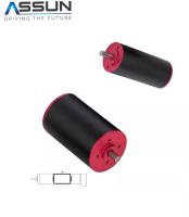 China 1KHz Brushless Coreless Motor 36V 45mm Diameter 100mm Length for sale