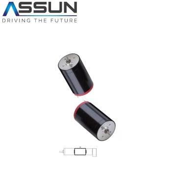 China Coreless Graphite Brush DC Motor.Carbon Brushed DC Motor.DC Brush Motor12V24V48V for sale
