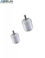 China Multi Stage High Precision Planetary Gearbox Diameter 24mm 85g Weight for sale