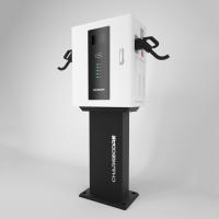 China 60Hz DC Wallbox EV Charger Chademo Commercial Electric Car Charging Station for sale