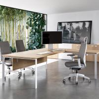 China MC3.0 Ergonomic custom sized Office Manager Desk L-shaped desk with spacious desk area for sale