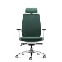 China High Back Ergonomic Modern Adjustable Office Chair RAL Color Wear Resistant for sale