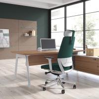 China High Back Ergonomic Modern Adjustable Office Chair RAL Color Wear Resistant for sale