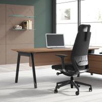China Double Layer Modern Mesh Back Office Chair With Wheels Adjustable Lumbar Support for sale