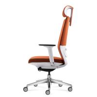 China Ergonomic Mesh Modern Office Chairs Lumbar Support Adjustment Customizable for sale