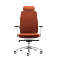 China Ergonomic Mesh Modern Office Chairs Lumbar Support Adjustment Customizable for sale