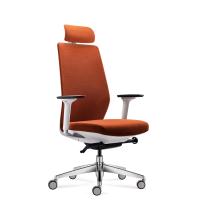 China Ergonomic Mesh Modern Office Chairs Lumbar Support Adjustment Customizable for sale