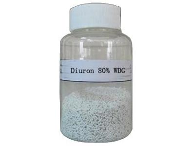 China Diuron 97% TC Herbicide Photosynthesis Inhibitor for Broadleaf and Grass Weeds Control for sale