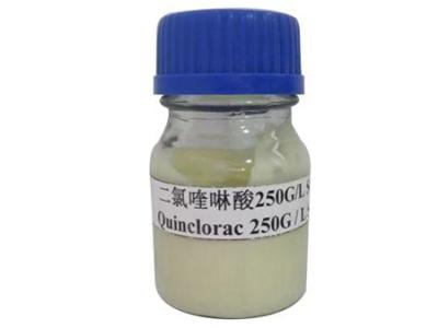 China Quinclorac Pet Friendly Weed Killer Good Selectivity 95% Tech Safe To Rice for sale