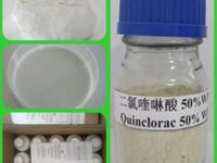 China Quinclorac Pet Friendly Weed Killer Good Selectivity 95% Tech Safe To Rice for sale
