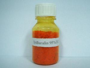 China Trifluralin 95% TC 48% EC Selective Herbicide for Cotton Soybean Weed Control for sale