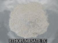 China Ethofumesate TC Natural Weed Killer Selective Systemic Post Emergence In Sugar for sale