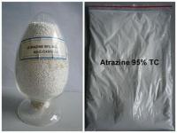 China Atrazine 97% TC Selective Herbicide CAS 1912-24-9 Triazine Inhibits Photosynthesis for Corn Sugarcane for sale