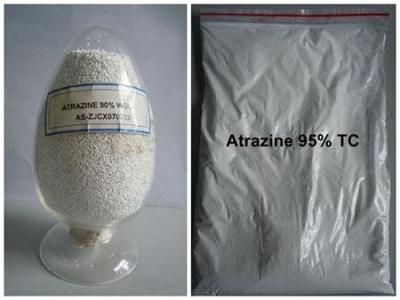 China Atrazine 97% TC Selective Herbicide CAS 1912-24-9 Triazine Inhibits Photosynthesis for Corn Sugarcane for sale