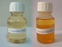 China Chlorpyrifos 97% Tech Broad Spectrum Insecticide CAS 2921-88-2 for Crop Protection for sale
