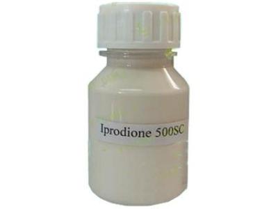China Iprodione 50% WP Fungicide Dicarboximide Contact Fungicide for Crop Disease Control for sale