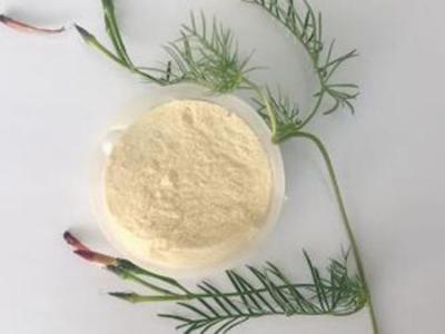 China Thiophanate Methyl 95% TC Systemic Broad Spectrum Fungicide for Crops for sale