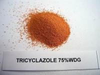 China Tricyclazole 95% TC Fungicide for Rice Blast Control 25kg Drum for sale