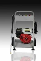 China Gasoline High Pressure Herbicide Sprayer 6.5HP 196CC Axial Pump Recoil Start for sale