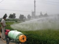 China 6.5hp Max Output Portable Power Sprayer 196cc Displacement Recoil Start 160L Tank for sale