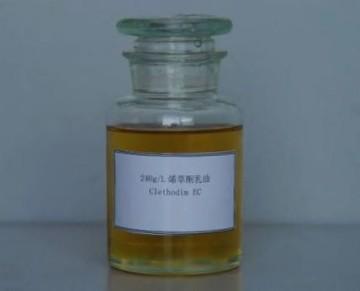 China 240 G/L Clethodim EC Herbicide for Soybean Field Annual Grass Weed Control 20-30 Ml per Acre for sale