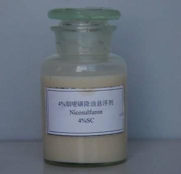 China 40 G/L Nicosulfuron OD Selective Weed Killer For Corn Field Good Effect for sale