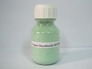 China Copper Oxychloride 90% TC Fungicide Protective Plant Growth Stimulant for Tomato for sale