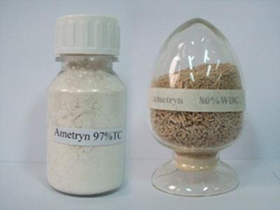 China Ametryn 96% TC Selective Herbicide Broadleaf Weed Killer for Sugarcane Corn 80% WP 50% SC for sale