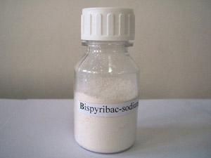 China Bispyribac Sodium 95% TC Selective Herbicide for Post Emergence Control in Rice 40% SC for sale