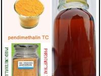 China Pendimethalin 330g/L EC Selective Herbicide for Annual Grasses 95% Tech for sale