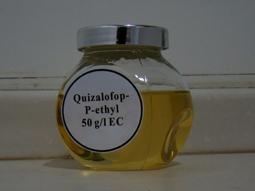 China Quizalofop P Ethyl 10.8% EC Selective Herbicide for Soybean Cotton Peanut 1L for sale