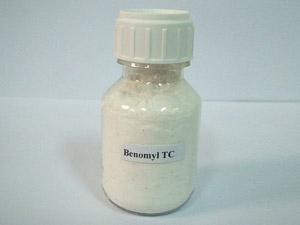 China Benomyl 95% Tech Fungicide for Ascomycetes Control Pre Harvest Spray 25kg Drum for sale