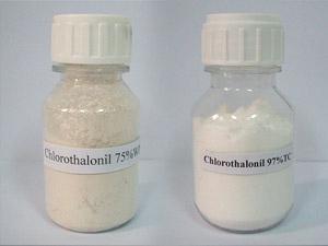 China Chlorothalonil 98% Tech Fungicide for Agricultural Crops Effective Against Fungal Diseases for sale