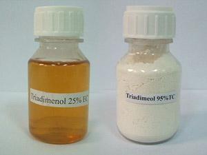China Triadimenol 97% Tech Systemic Fungicide Seed Treatment for Cereals and Ornamentals for sale
