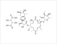 China Tylosin Tartrate 900U/mg Poultry Antibiotic Livestock Veterinary Drug for sale