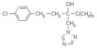 China 60g/L Tebuconazole FS Systemic Fungicide Seed Treatment for Corn Wheat Soybean for sale